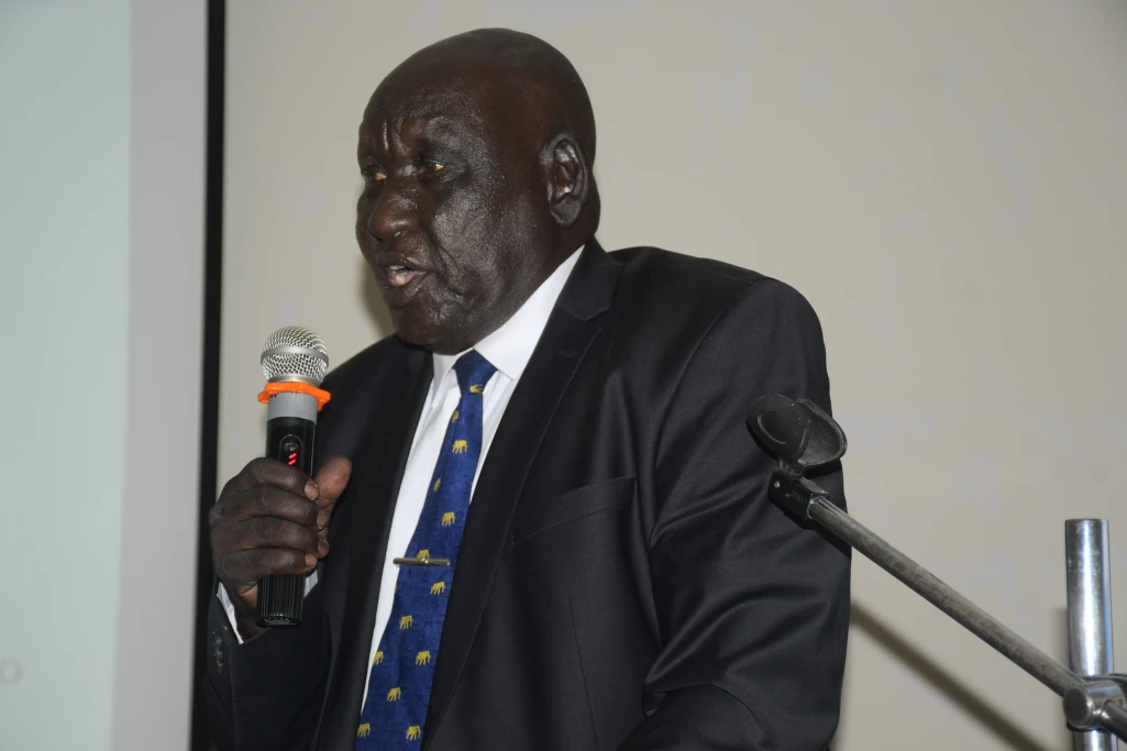 Embrace national languages for patriotism, South Sudanese advised - The ...