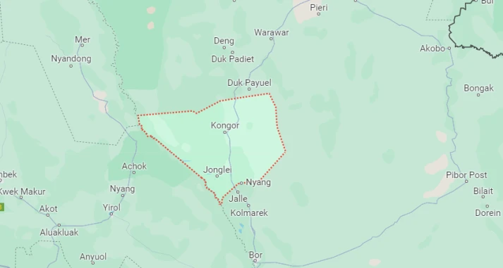 Animal disease kills 30 heads of cattle in Twic - The Radio Community