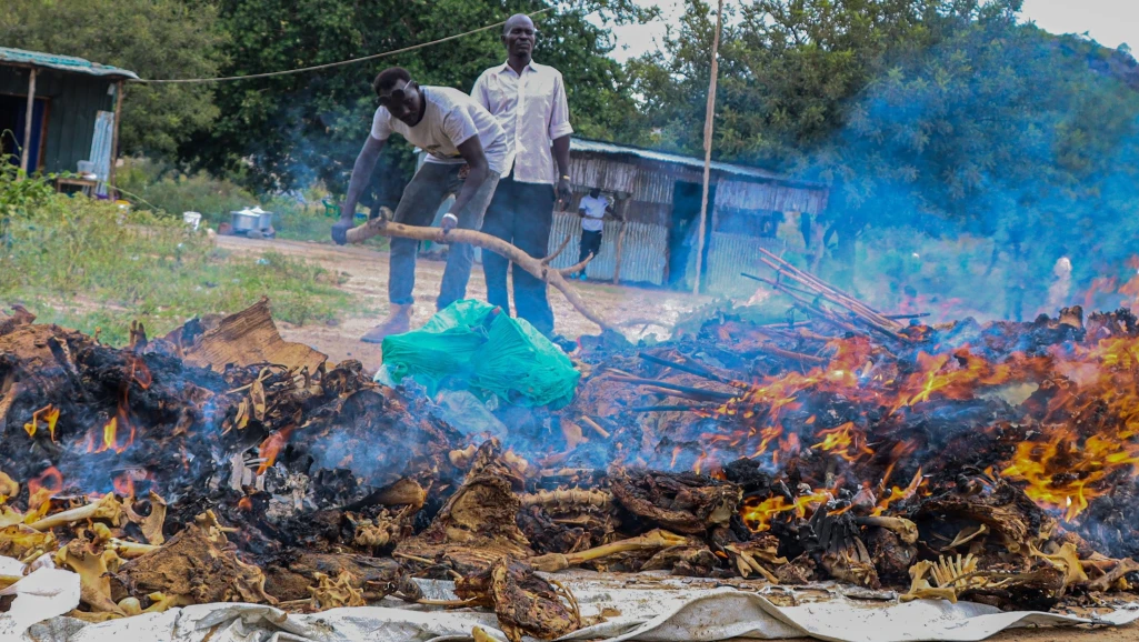 Wildlife department destroys 167 bags of bush meat - The Radio Community