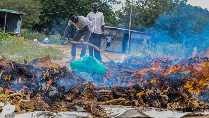 Wildlife department destroys 167 bags of bush meat - The Radio Community