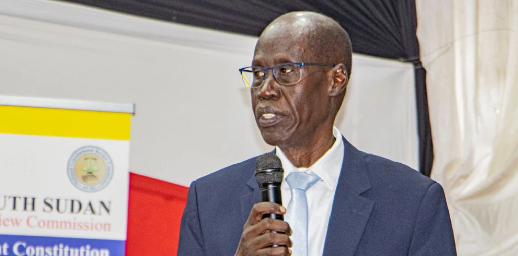 Constitutional drafting process faces leadership challenges - Prof ...