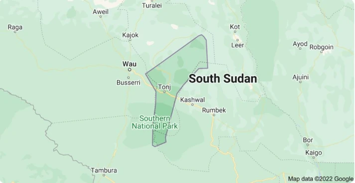 18 suspects arrested over killings in Tonj East & North Counties - The ...