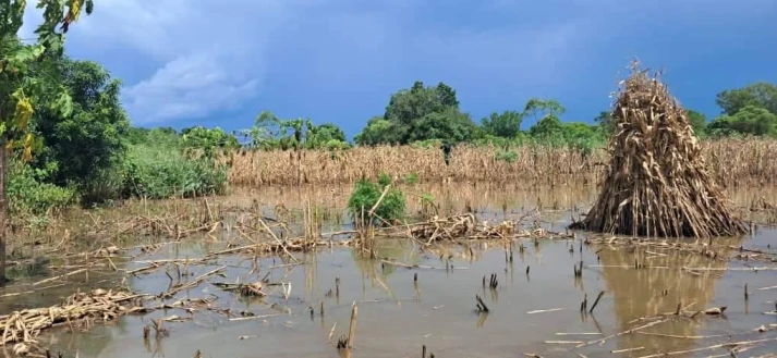 MP urges aid as Akobo River floods displace thousands in Pochalla - The ...