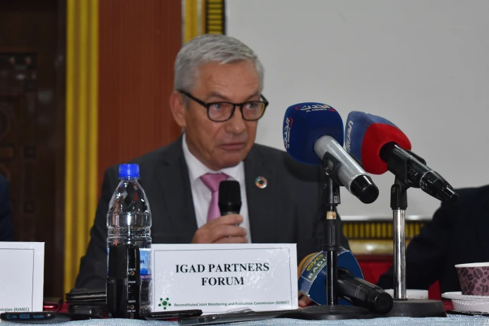 IGAD partners advise SPLM-IO against boycott of peace deal events - The ...