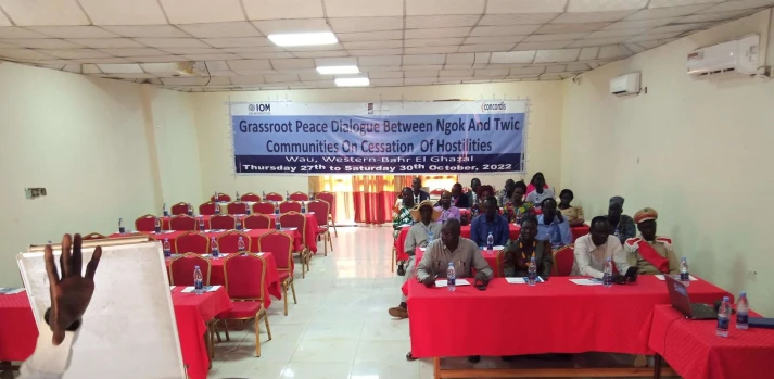 Twic-Ngok peace conference in Wau resolves to end hostilities - The ...
